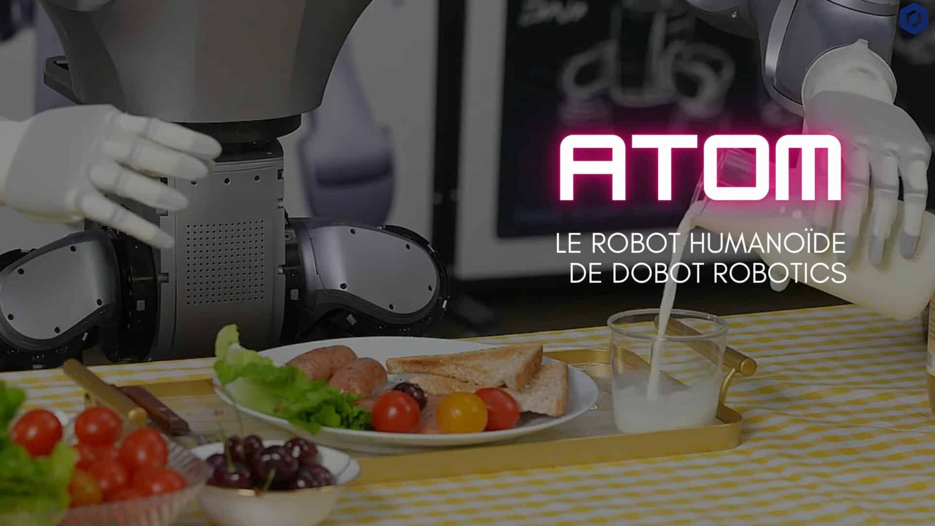 Atom : le robot humanoïde qui se charge des tâches domestiques